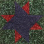 Nifty Fifty Quilters of America Eleventh 50 State Quilt Block Swap