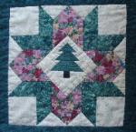 Nifty Fifty Quilters of America First Swap